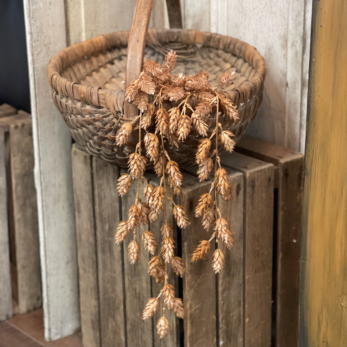 Hanging Hops – Red Fox Primitives