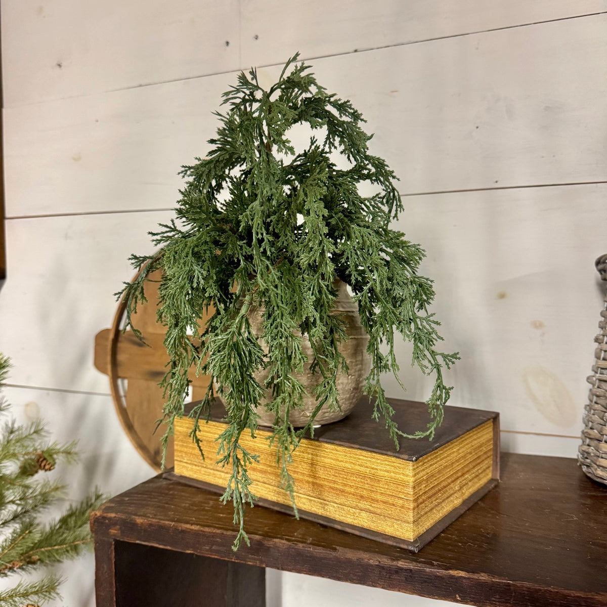 Weeping Cedar Pick – Red Fox Pr...