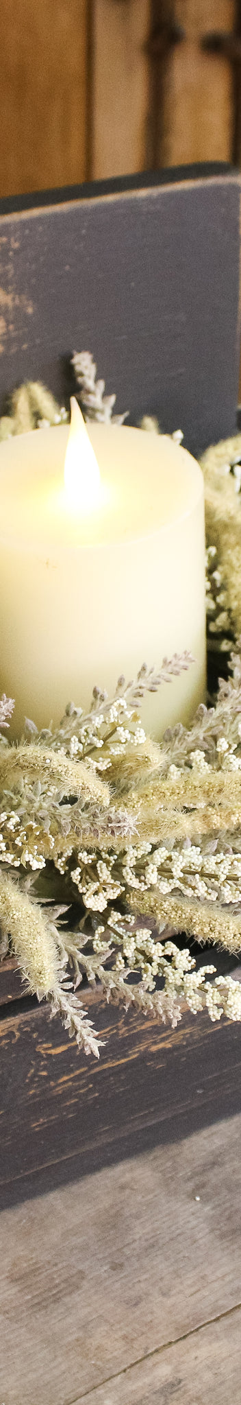 Seed Box - Primitive Black – Re...