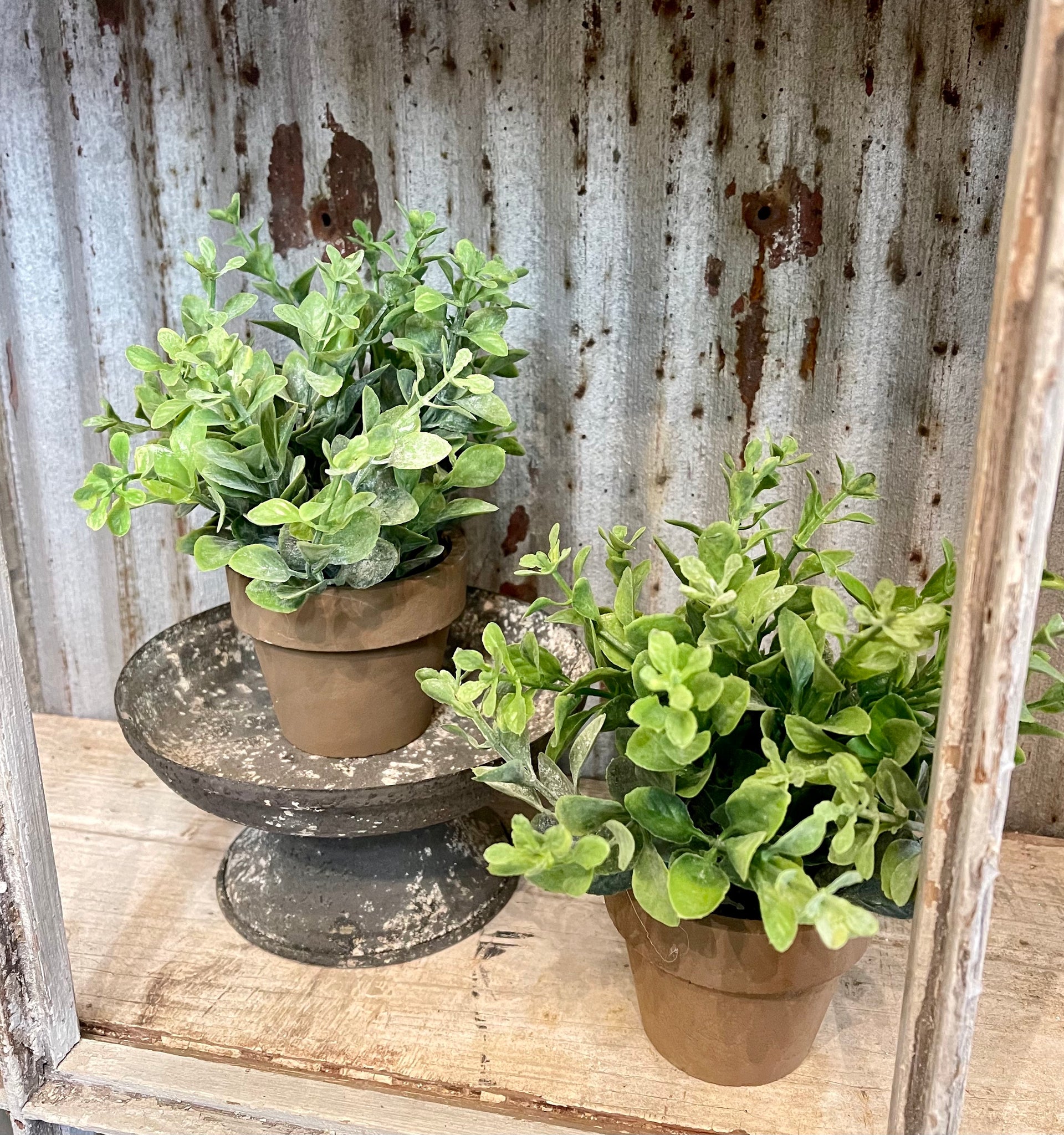 Faux Potted Herbs - Set of 2